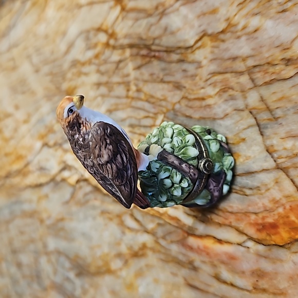PHB Collection | Accents | Red Tailed Hawk Bird Trinket Box | Poshmark